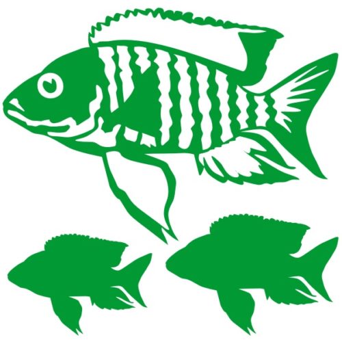 Stickers poissons - Decorenkit - La boutique des Stickers