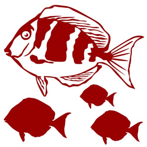 Stickers poissons - Decorenkit - La boutique des Stickers